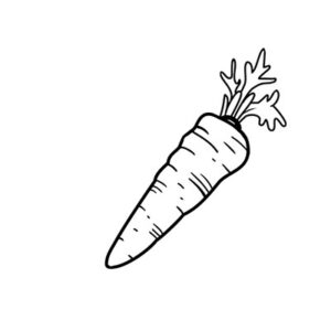 Step-by-Step Carrot Drawing Printable