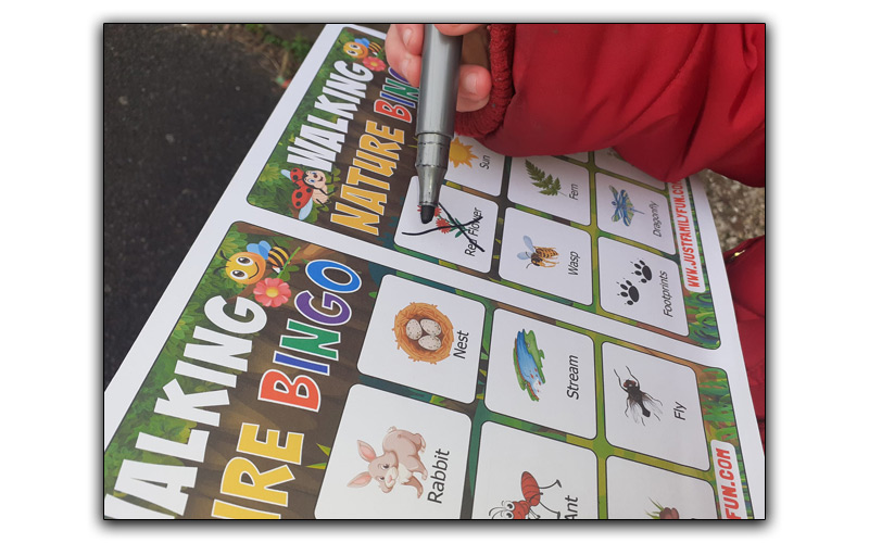 Nature Bingo Cards | UPDATED 2022 | Nature Walk Bingo For Kids