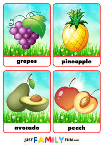 Free Printable Fruit Flashcards For Kids | Just Family Fun