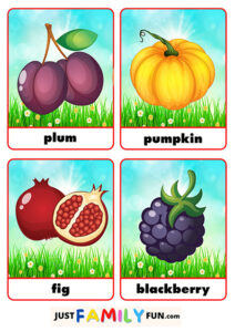 Free Printable Fruit Flashcards For Kids | Just Family Fun