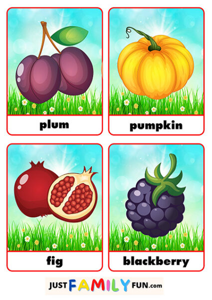 Free Printable Fruit Flashcards For Kids | Just Family Fun