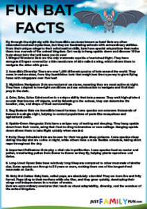 20 Fun Random Animal Facts Worksheets