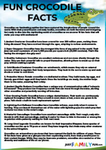 20 Fun Random Animal Facts Worksheets