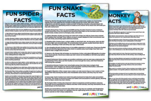 20 Fun Random Animal Facts Worksheets