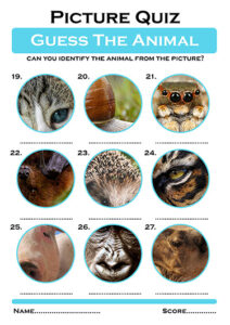 Download Animal Picture Quiz PDF | Free