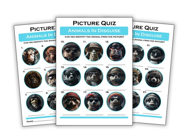 Picture Quizzes Printable Free | Just Family Fun