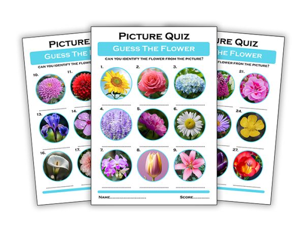 Picture Quizzes Printable Free | Just Family Fun