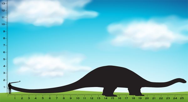 Amazing Facts About Diplodocus – The Gentle Giant Dino