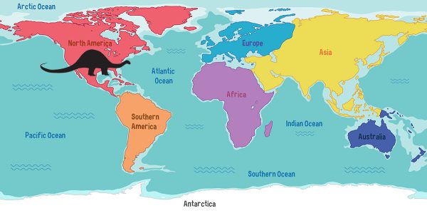 Amazing Facts About Diplodocus – The Gentle Giant Dino