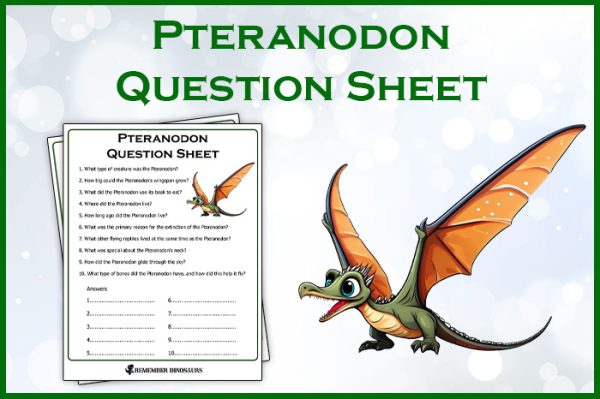Fascinating Facts About Pteranodon – Master Of The Skies