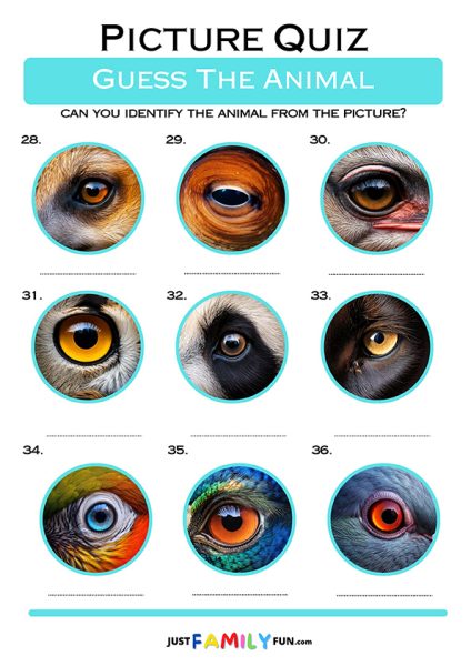Download Guess The Animal Quiz PDF